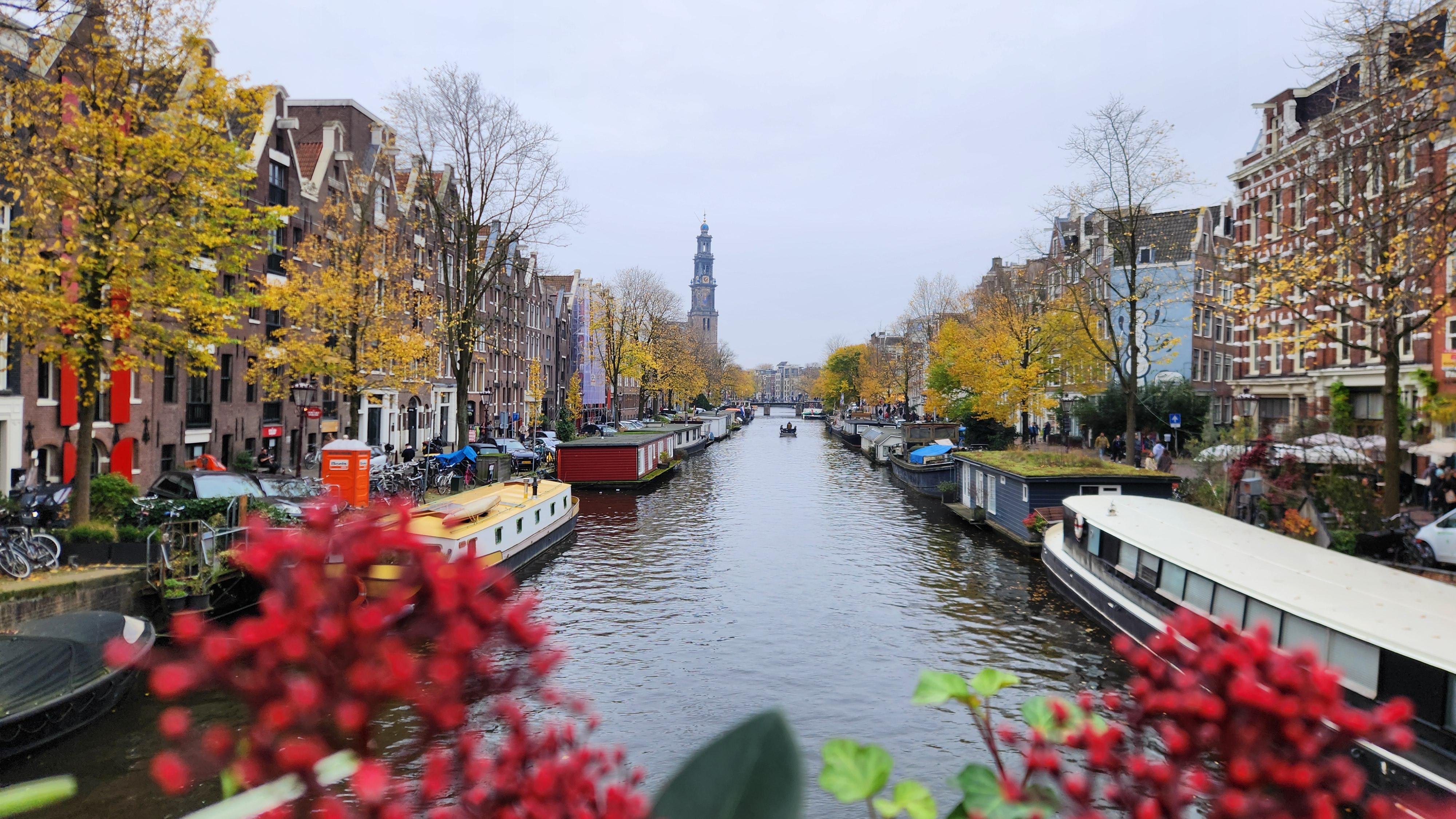 Programs>Education Abroad